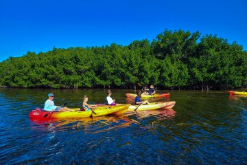 Siesta Key Kayak and Paddleboard Rentals | SURFit USA